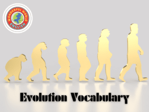 Evolution Vocabulary: Everything You Need to Know – Wonderful World English