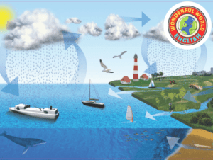 Water Cycle Vocabulary: Key Terms Explained – Wonderful World English