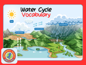 Water Cycle Vocabulary: Key Terms Explained – Wonderful World English