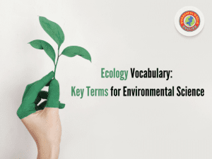 Ecology Vocabulary: Key Terms for Environmental Science – Wonderful ...